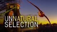 UNNATURAL SELECTION